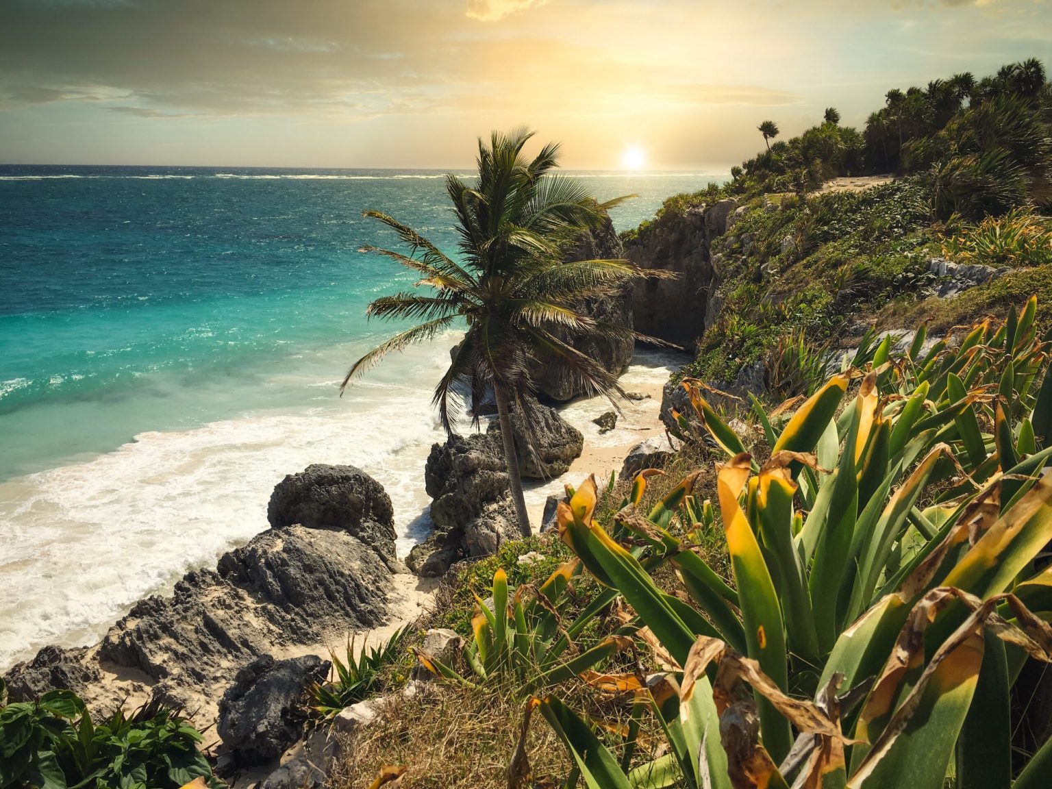 Fun facts de Tulum – SiSol